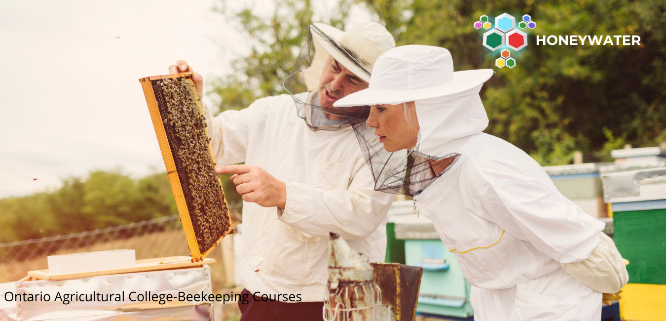 HoneyBee Research